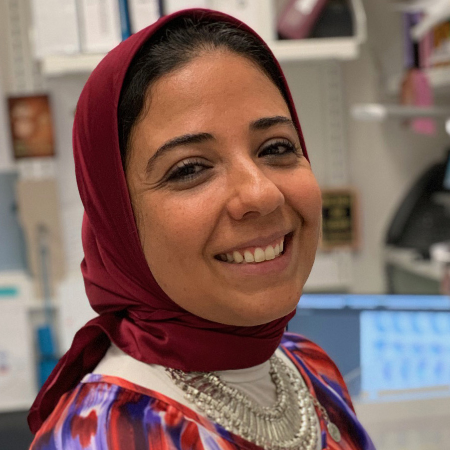 Marwa M. Afifi, Ph.D. | Center for Cancer Research Marwa M. Afifi, Ph.D. | Center for Cancer Research