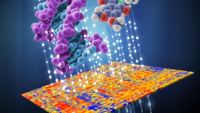 New AI tool classifies brain tumors using images of tumor slides ... New AI tool classifies brain tumors using images of tumor slides ...
